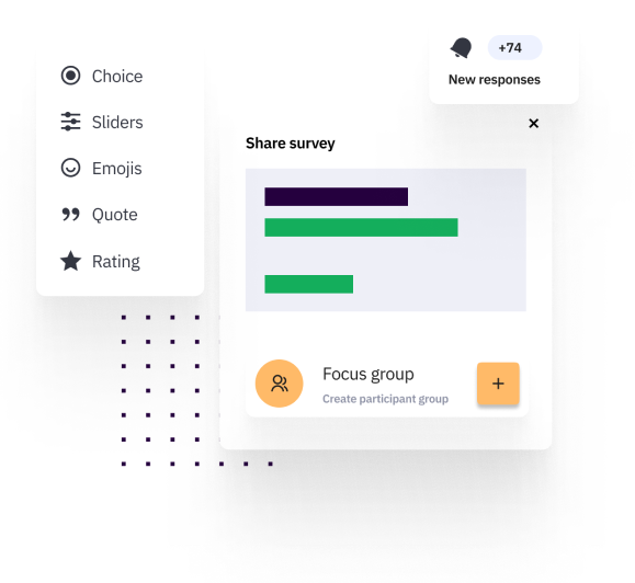 Survey Solutions for Students—LimeSurvey
